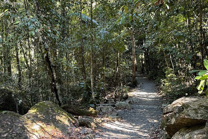 Airlie Beach: Eungella Wild Platypus Encounter Eco Tour - Frequently Asked Questions