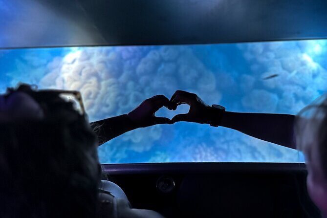 Airlie Beach Glass Bottom Boat Guided Night Tour - Key Points