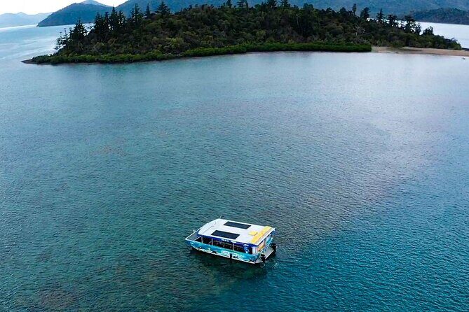 Airlie Beach Glass Bottom Boat Guided Night Tour - A Deep Dive into the Experience
