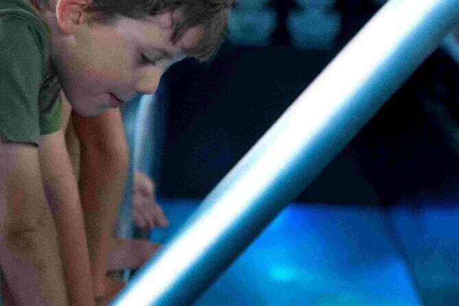 Airlie Beach Glass Bottom Boat Guided Night Tour - The Sum Up