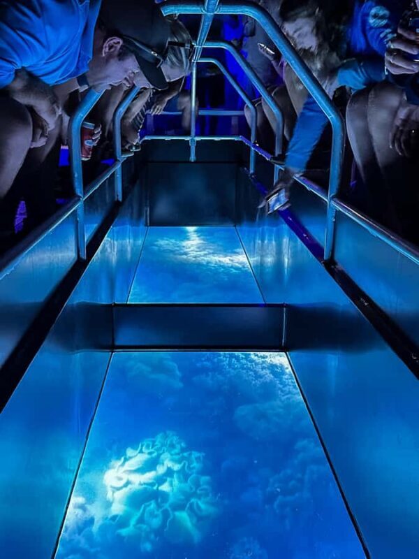 Airlie Beach: Glass-Bottom Boat Night Tour - What to Expect on the Tour