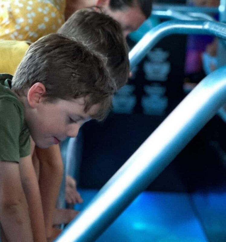 Airlie Beach: Glass-Bottom Boat Night Tour - The Itinerary and Route