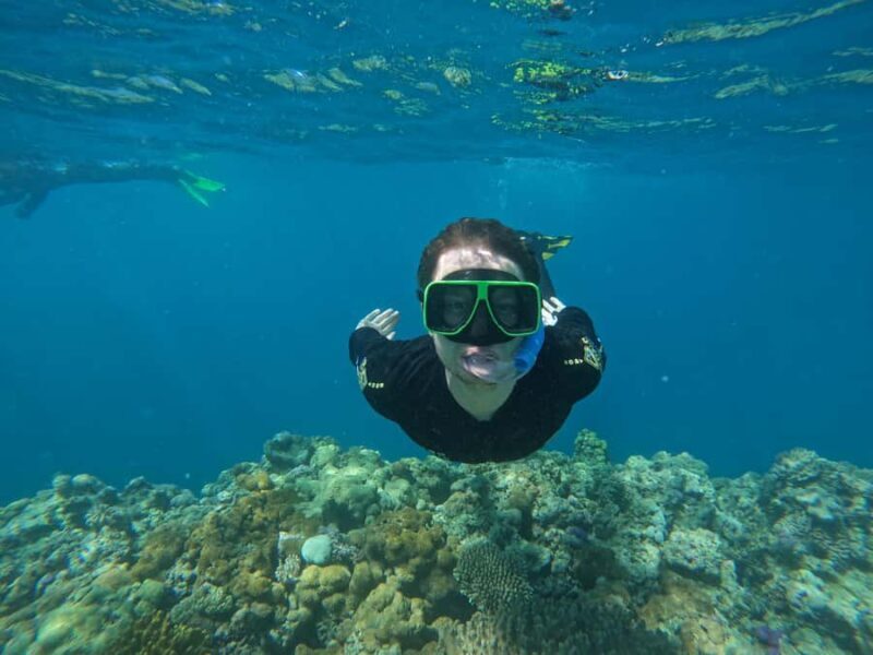Airlie Beach: Great Barrier Reef & Whitehaven Beach Tour - Final Thoughts: Is This Tour For You?