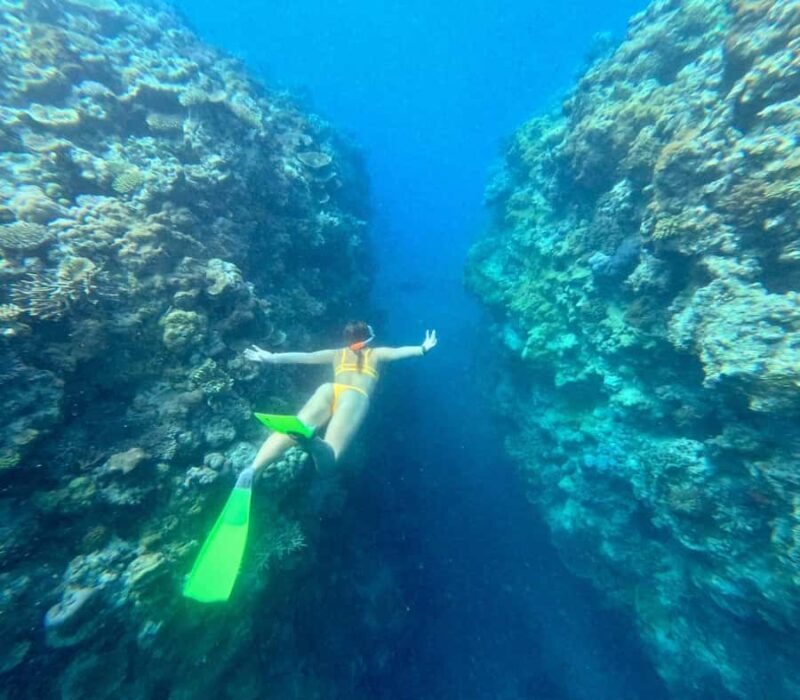 Airlie Beach: Great Barrier Reef & Whitehaven Beach Tour - FAQ