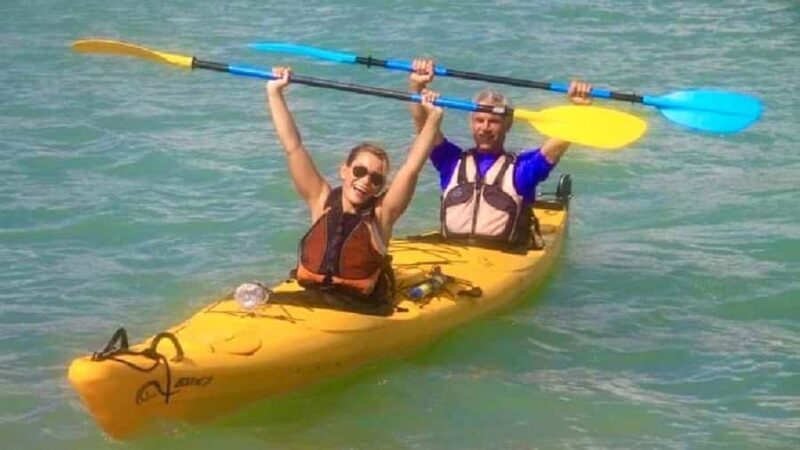 Airlie Beach: Half Day Turtle Tour Sea Kayaking Adventure - Key Points