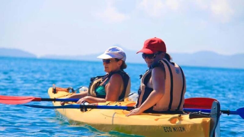 Airlie Beach: Half Day Turtle Tour Sea Kayaking Adventure - Discovering the Experience