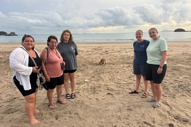 Airlie Beach: Kangaroos on the beach at dawn. - Who Will Love This Tour?
