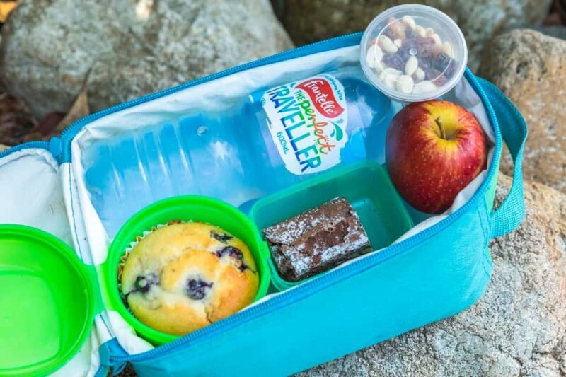 Airlie Beach: Segway Rainforest Discovery Tour - Who Would Love This Tour?