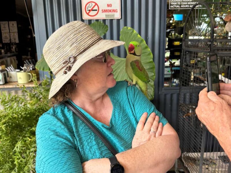 Airlie Beach: Sightseeing Bus Tour - FAQ  