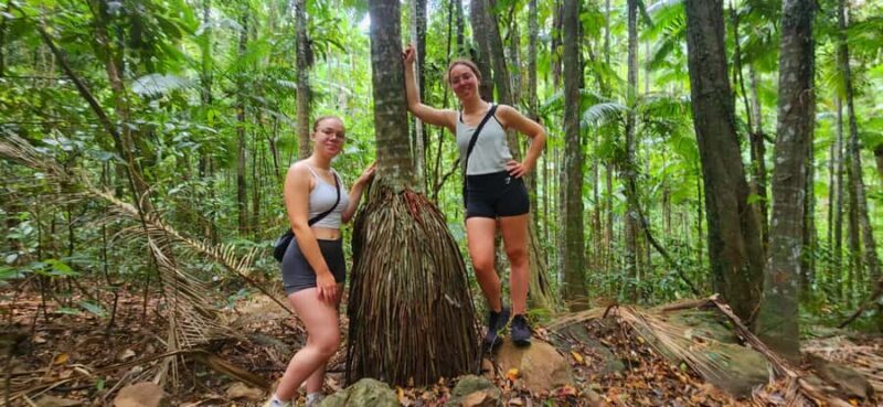 Airlie Beach: Waterfall & Rainforest Bushwalk Eco Adventure - Introduction to the Experience