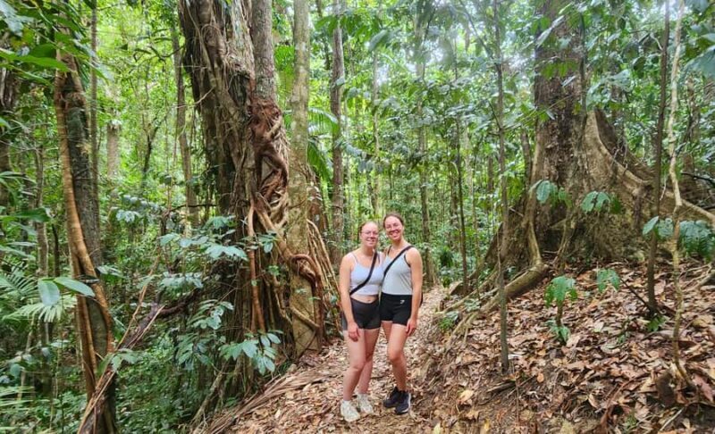 Airlie Beach: Waterfall & Rainforest Bushwalk Eco Adventure - Real Insights from Reviews