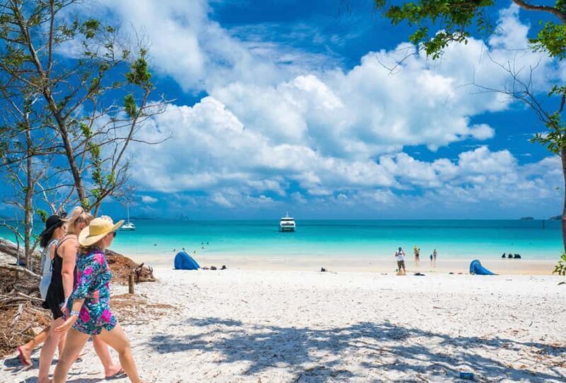 Airlie Beach: Whitehaven Beach Cruise and Hill Inlet - Key Points