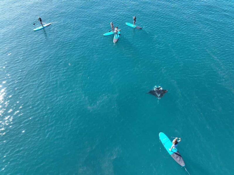 Airlie Beach: Whitsunday Islands Sailing, SUP & Snorkel Tour - FAQs