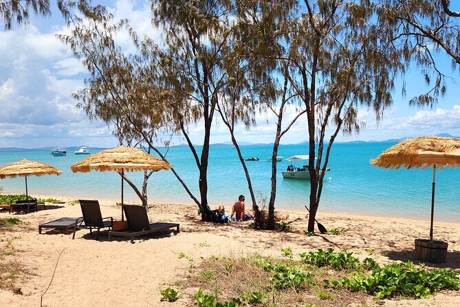 Airlie Coastal Beach Adventures - Dingo Beach & Cape Gloucester - Discovering a Different Side of Airlie Beach: A Detailed Look at the Coastal Beach Adventures Tour