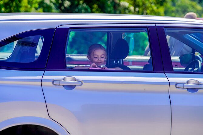 Airport Pickup in Puerto Vallarta: Private Round Trip of 22km - Who Will Love This Service?