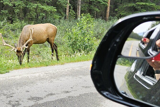 Airport Pickup & Private Tour from Calgary to The Rockies! - Why Choose This Tour?