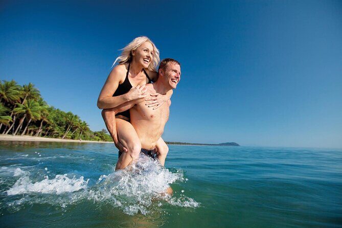 AIRPORT SHUTTLE between Cairns Airport & Port Douglas (6am-5pm) - What the Reviews Reveal