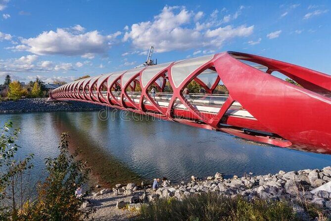 Airport Shuttle: Calgary Airport  Downtown Calgary - Customer Service and Driver Experience