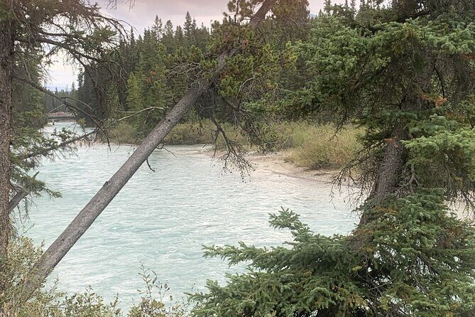 Airport Shuttle: Lake Louise  Calgary - Who Will Love This Service?