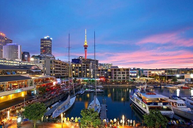 Airport Transfer: Auckland Airport AKL to Auckland by Luxury Van - The Experience in Detail