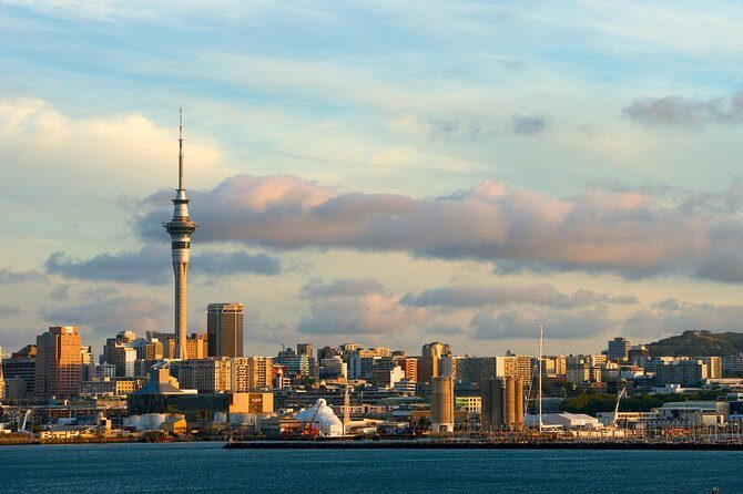 Airport Transfer: Auckland Airport AKL to Auckland by Sedan Car - Why Choose This Auckland Airport Transfer?