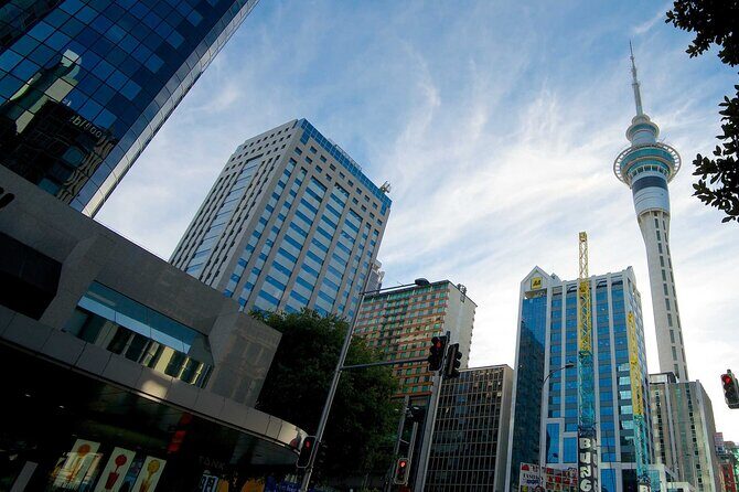 Airport Transfer: Auckland Airport AKL to Auckland by Sedan Car - Authentic Experiences and Additional Insights