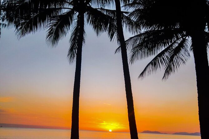 Airport Transfers between Cairns Airport and Cairns City - The Value for Money