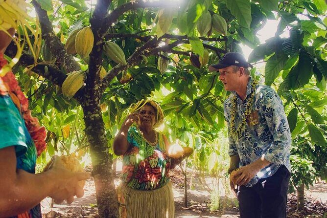 Airport Transfers from Honiara International Airport to Hotel - The Details That Matter: A Deep Dive into the Transfer Experience