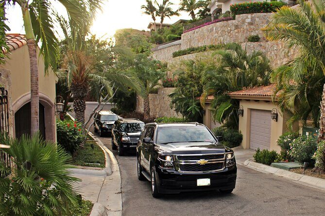 Airport Transportation One Way to Hotel in Cabo San Lucas - Pricing and Value