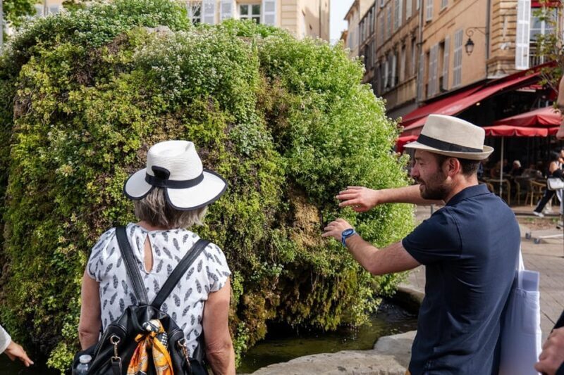 Aix en Provence Food & City Half Day tour - Who Should Book This Tour?