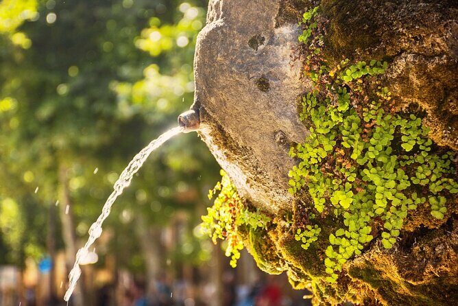 Aix-en-Provence Scavenger Hunt and Sights Self-Guided Tour - An In-Depth Look at the Tour Experience