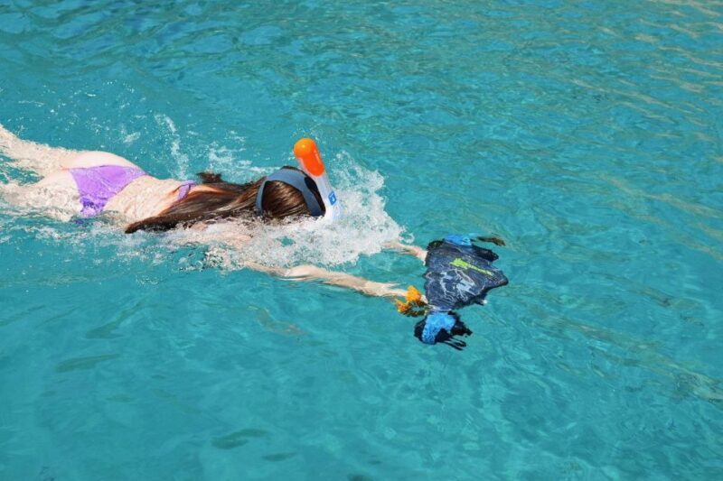 Ajaccio: Scandola - Girolata - Piana - Capo Rosso Tour - Discover Corsica’s Coastal Wonders on a 9-Hour Sea Trip