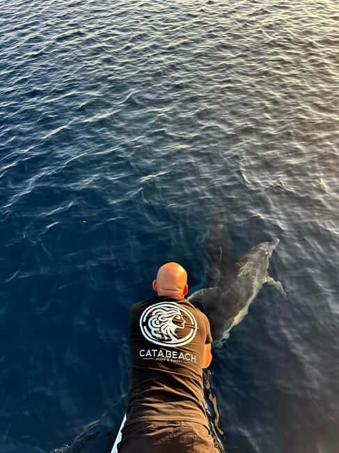 Ajaccio: Sunset at the Sanguinaires Islands - What to Expect on the Sanguinaires Islands Sunset Tour