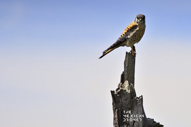 Ajusco Sunrise Hike with Drone photos-highest sunrise in CDMX - Final Thoughts