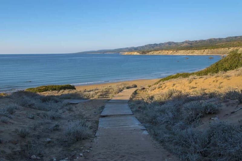 Akamas Jeep Safari Tour from Paphos - A Closer Look at the Akamas Jeep Safari