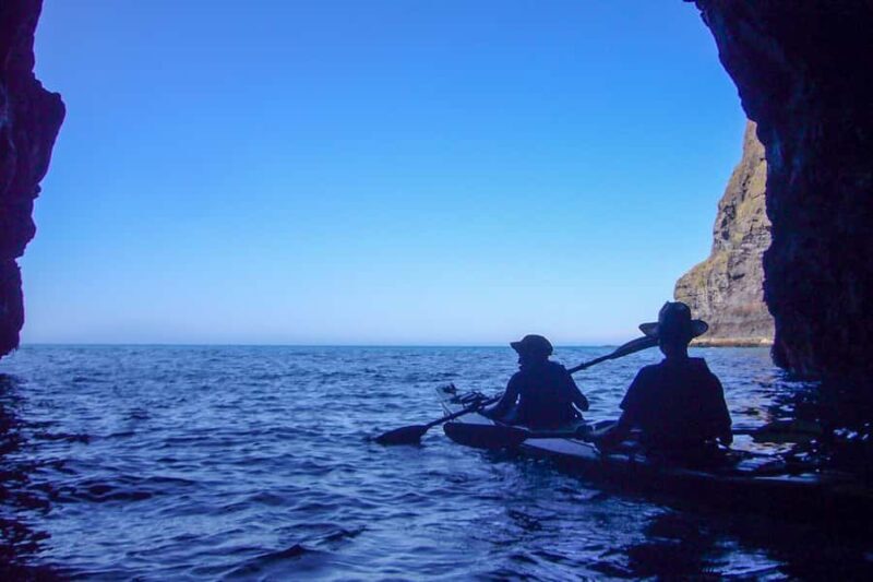 Akaroa: 4WD Safari and Guided Sea-Kayaking Experience - Key Points