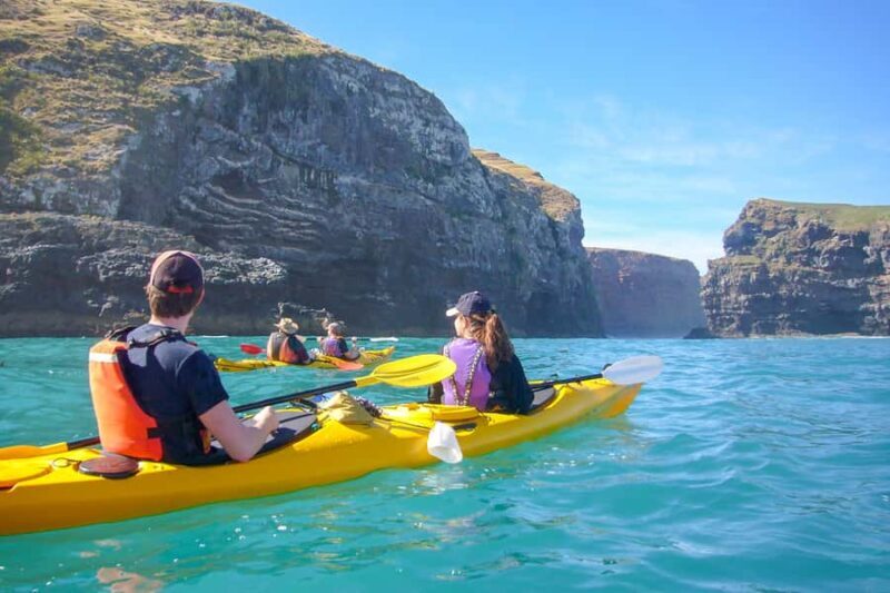 Akaroa: 4WD Safari and Guided Sea-Kayaking Experience - The Sum Up