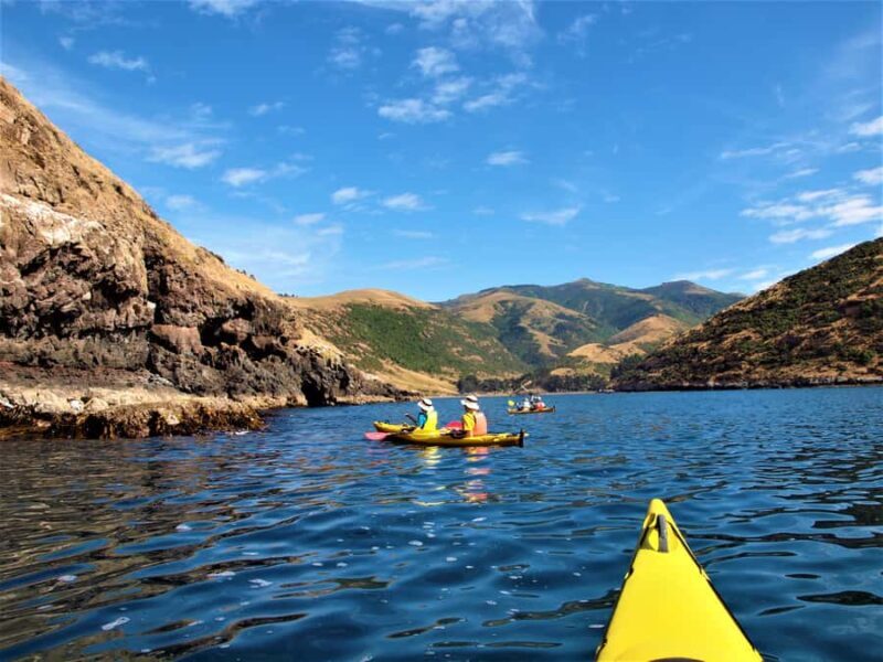 Akaroa: 4WD Safari and Guided Sea-Kayaking Experience - Frequently Asked Questions (FAQs)