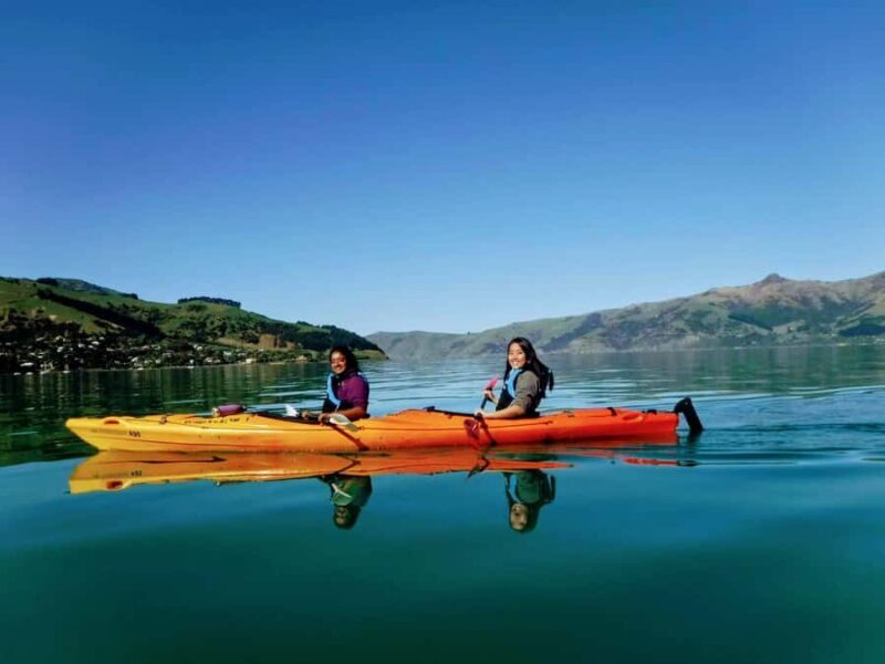 Akaroa: Akaroa Marine Reserve Sea Kayaking Tour - The Experience in Detail