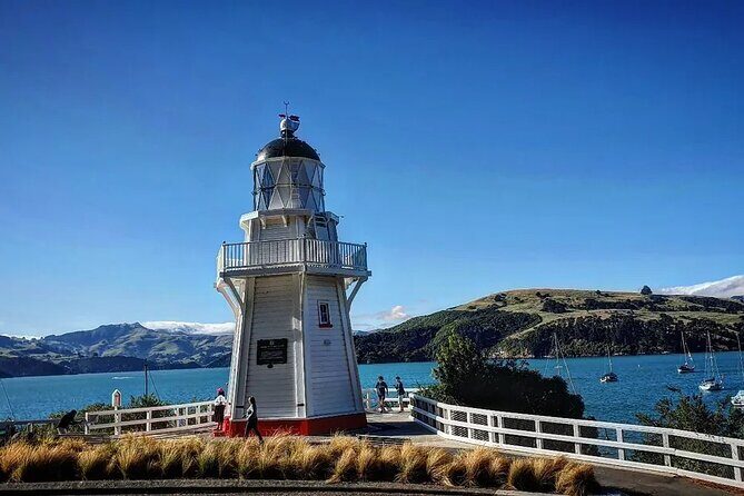Akaroa and Akaroa Dolphins Day Tour - Practical Details and Tips