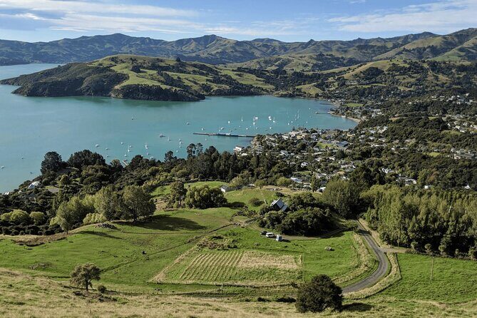 Akaroa and Akaroa Dolphins Day Tour - FAQ