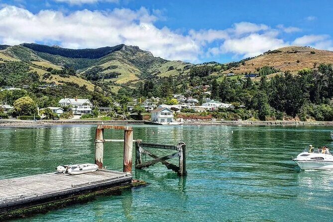 Akaroa and Akaroa Dolphins Day Tour - Final Thoughts