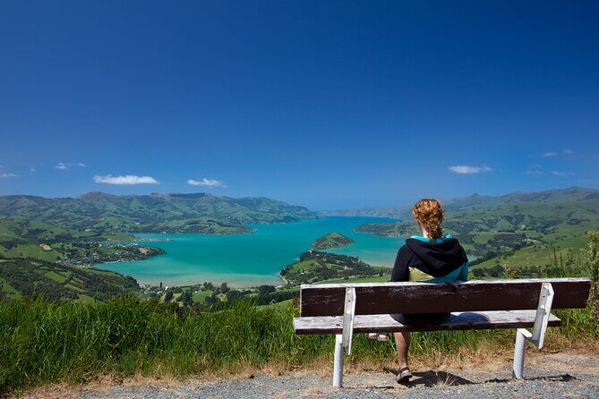 Akaroa and Banks Peninsula From Christchurch (Private Tour) - Why Choose This Tour?