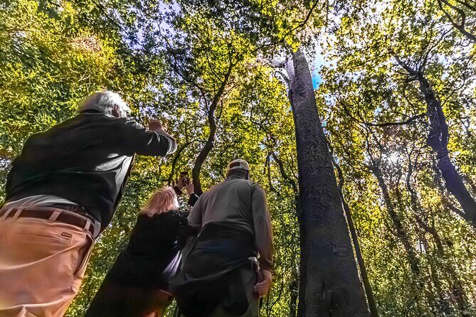 Akaroa & Banks Peninsula from Lyttelton(Private Shore Excursion) - FAQs
