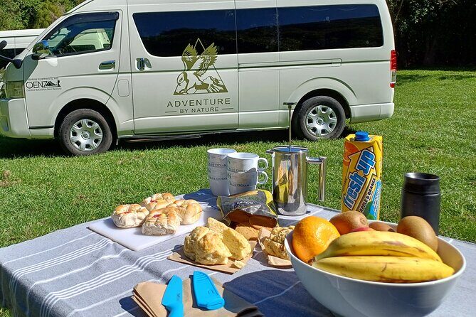 Akaroa & Banks Peninsula from Lyttelton(Private Shore Excursion) - Final Thoughts