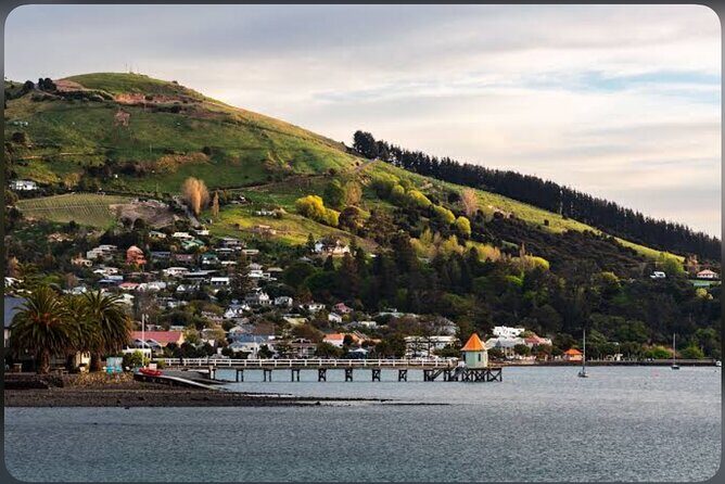 Akaroa Day Tour From Christchurch - Why Choose the Akaroa Day Tour?