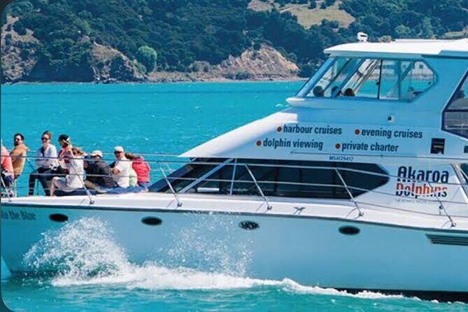 Akaroa Day Tour From Christchurch - Reviews and Feedback: What Travelers Say