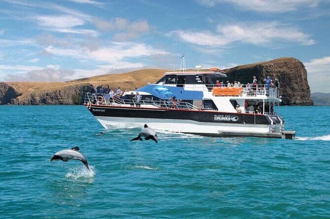 Akaroa Day Tour From Christchurch & Lyttelton - The Scenic Drive & Highlights of the Tour