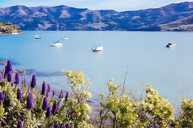 Akaroa Day Tour from Christchurch Return - Who Will Love This Tour?