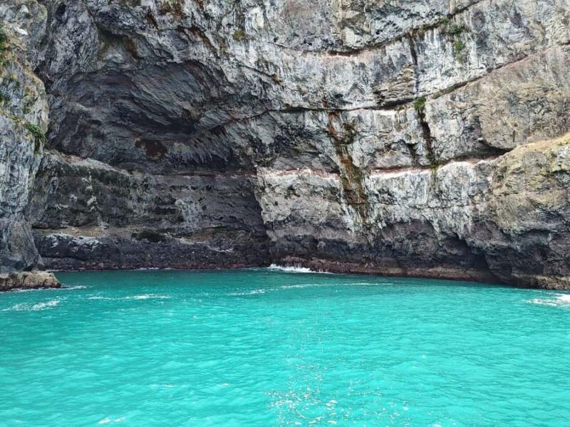 Akaroa Day Tour From Christchurch - An In-Depth Look at the Akaroa Day Tour